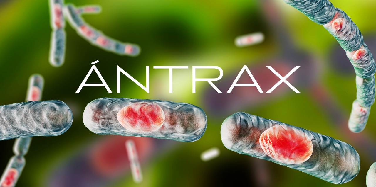 Antrax: República Dominicana activa protocolos de seguridad en la ...