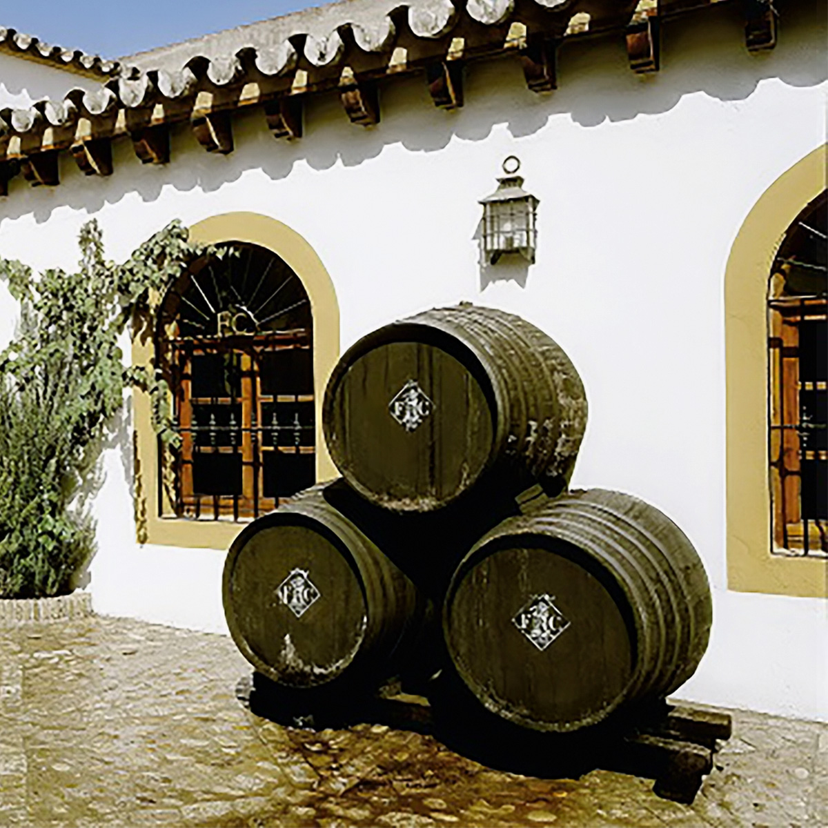 Oloroso Singular: Un símbolo de la excelencia - Revista Mercado