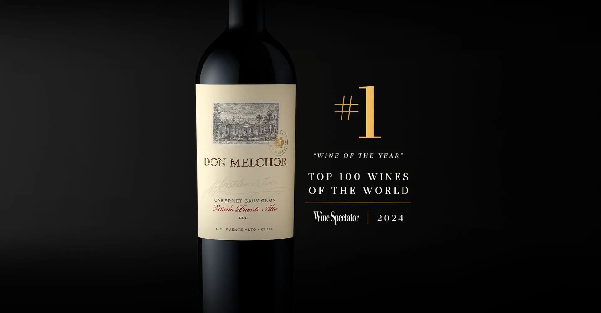 El vino chileno que conquistó al mundo: Don Melchor 2021 - Revista Mercado